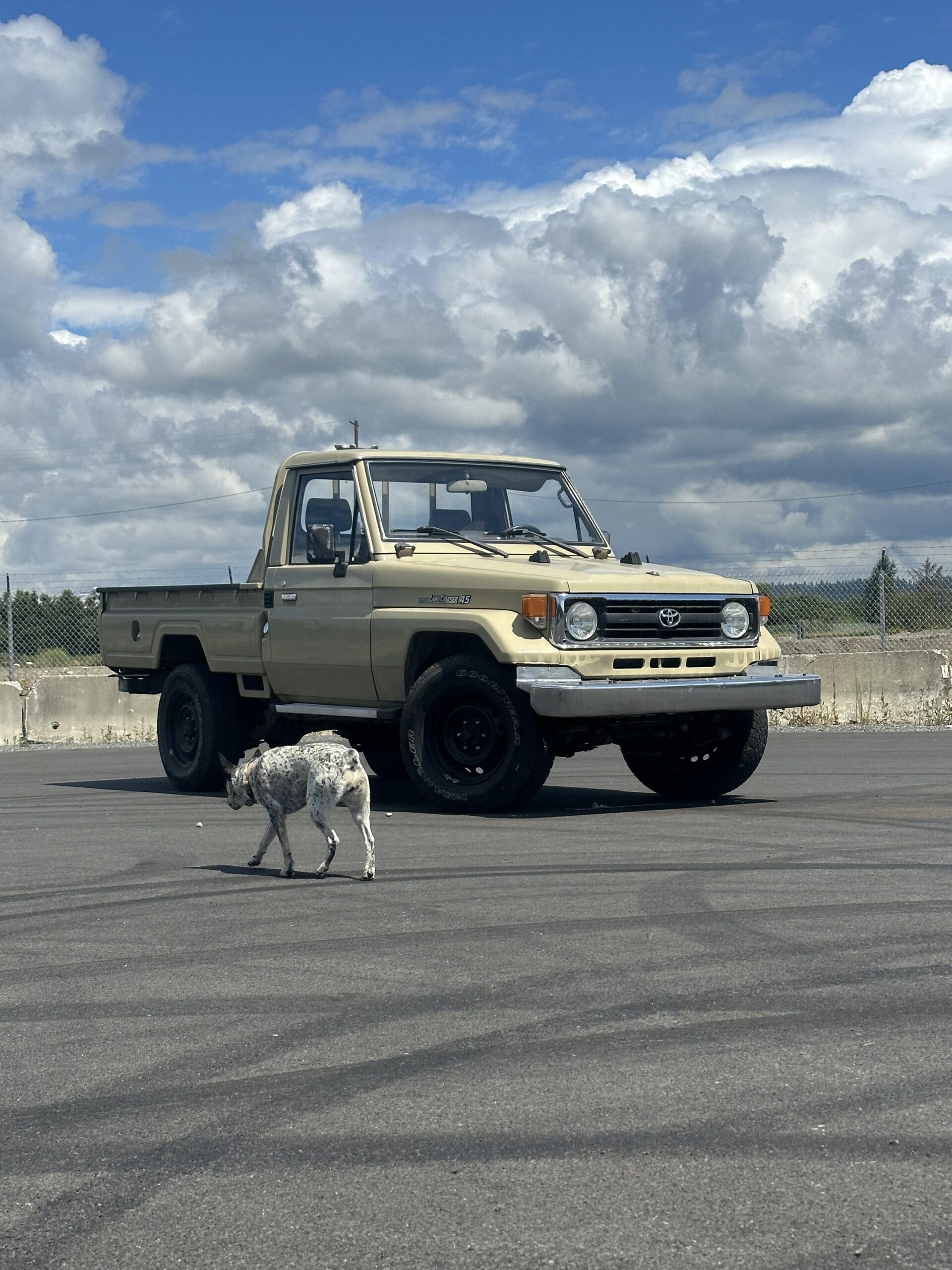 For Sale: 1996 Toyota FZJ75 Landcruiser Pickup » JDMBUYSELL