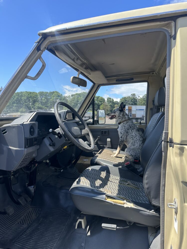 For Sale: 1996 Toyota FZJ75 Landcruiser Pickup » JDMBUYSELL